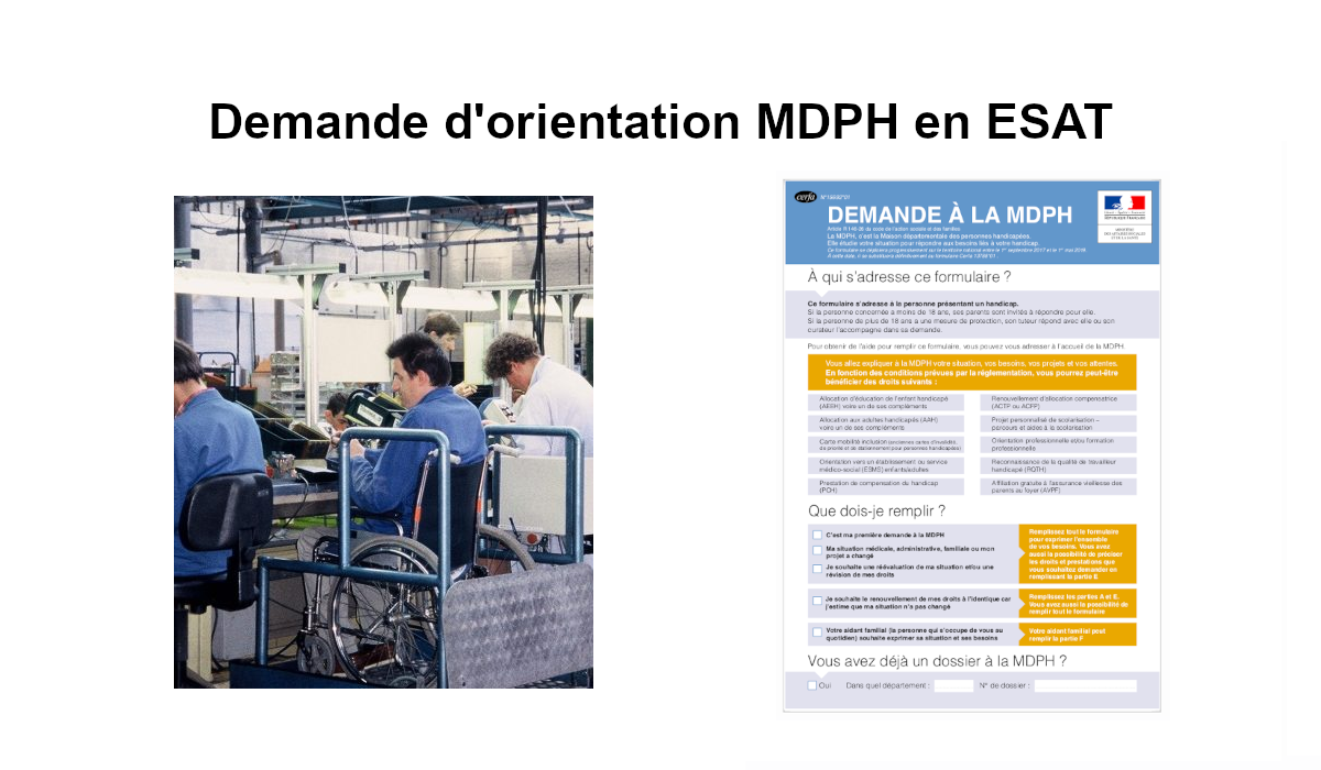 Inclusion professionnelle : L'orientation MDPH en ESAT